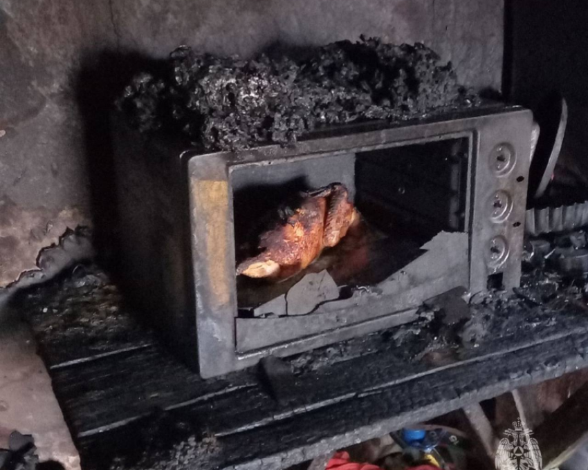 Курочка в микроволновке вызвала страшный пожар